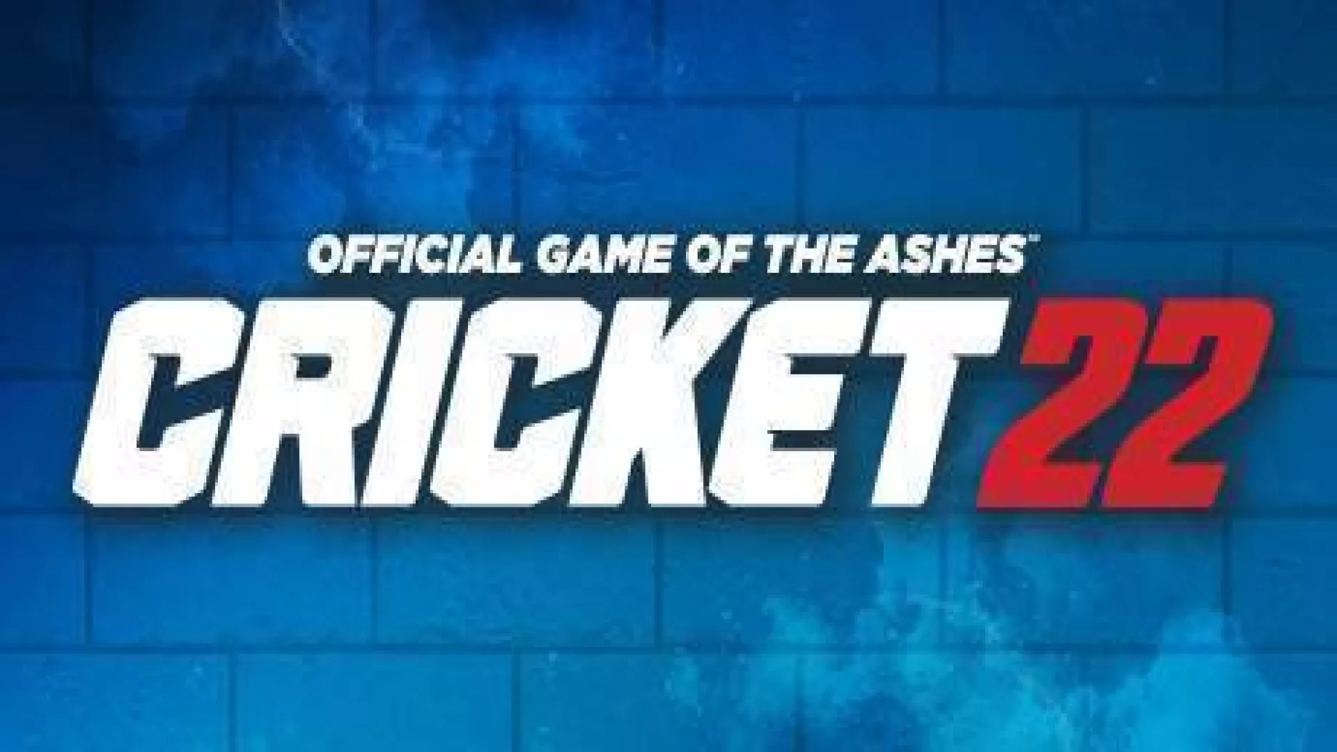 Acheter Cricket 22 NINTENDO SWITCH Key 🏷️ au meilleur prix | Gocdkeys