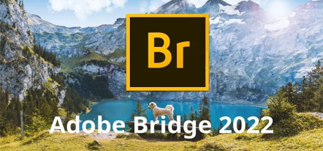 Gocdkeys | Acheter Adobe Bridge 2022 Key 🏷️ au meilleur prix